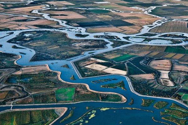 Ecosystem stressors in the Delta: More than just flow ~ MAVEN'S ...